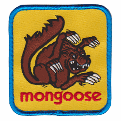 mongoose Patch